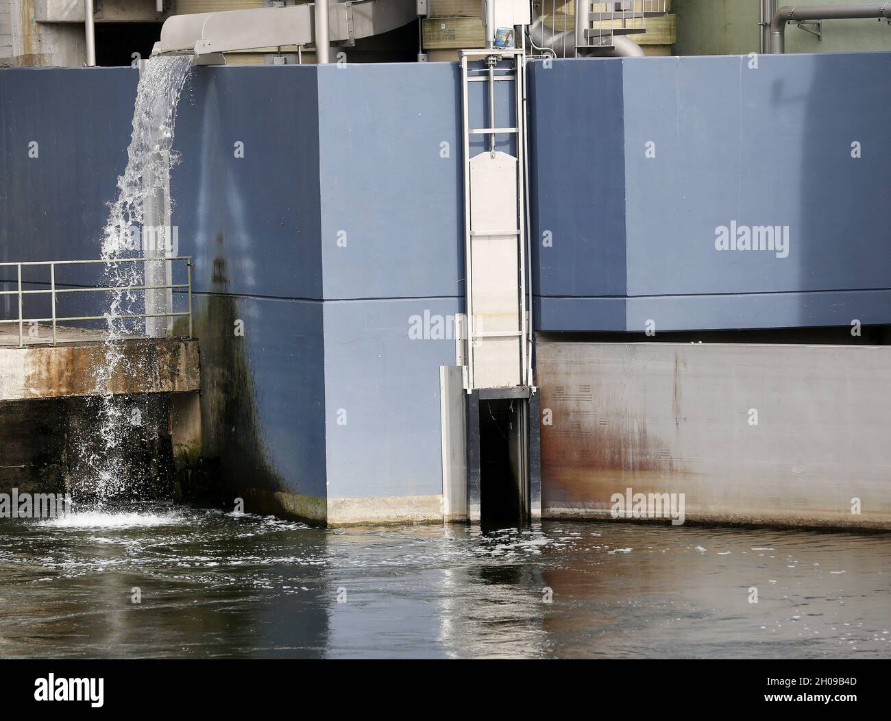 Essen, Germany. 21st Sep, 2021. The fish can swim into the tube through ...