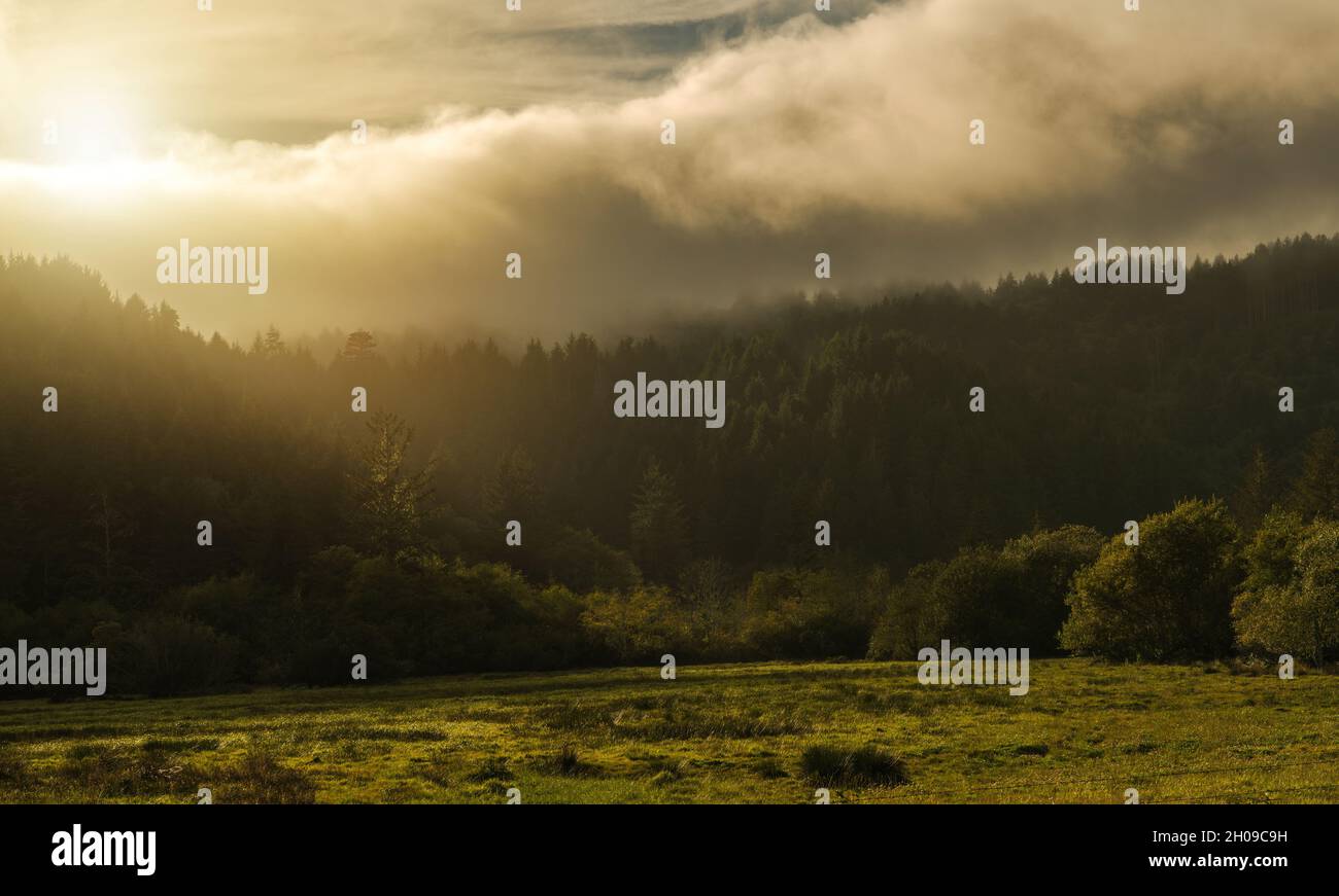 Fog rolling in hi-res stock photography and images - Alamy
