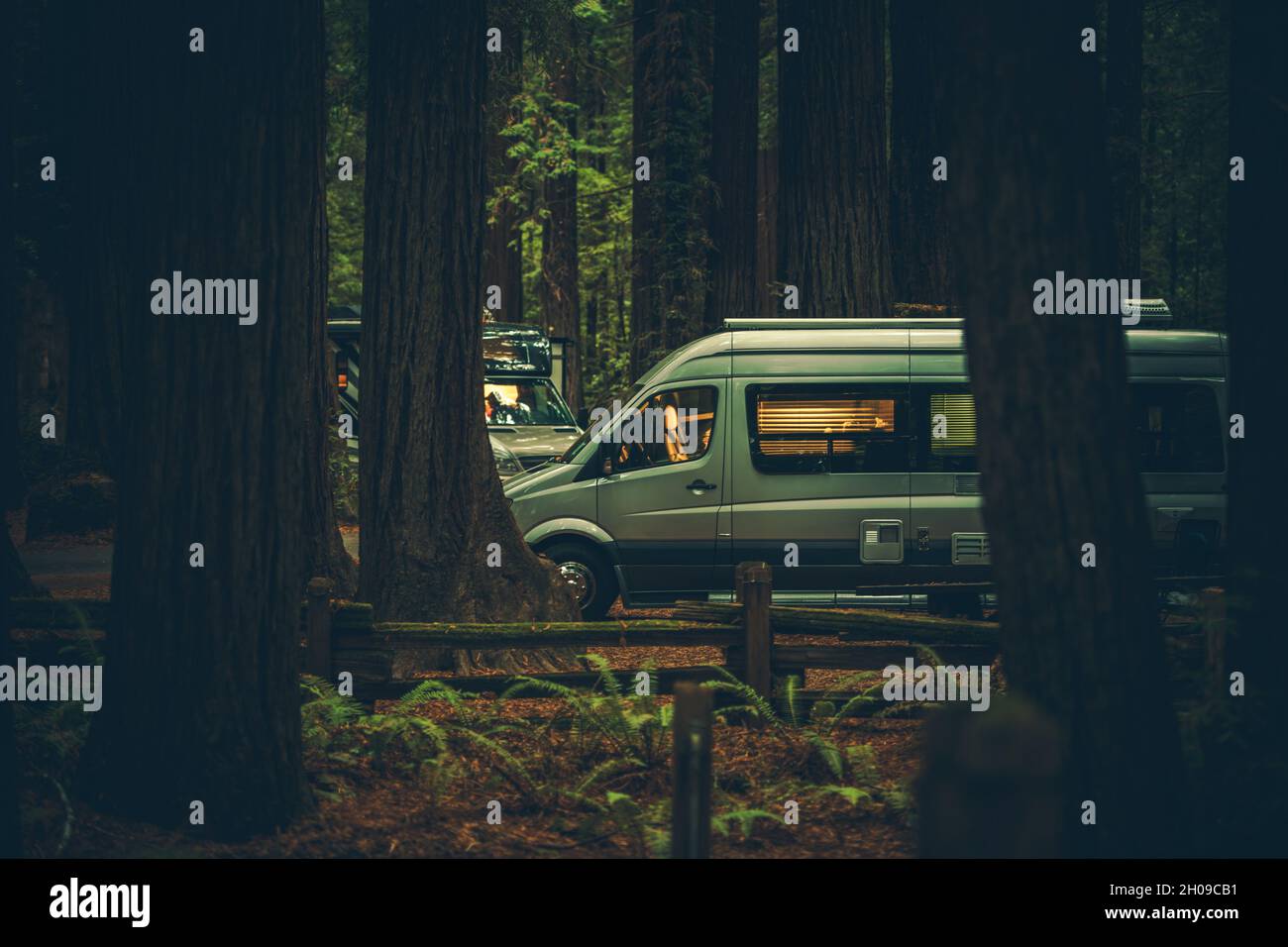 Modern Class B Motorhome Camper Van Camping Between Redwood Trees ...