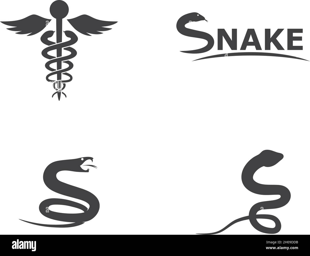 Snake logo vector ilustration template Stock Vector Image & Art - Alamy