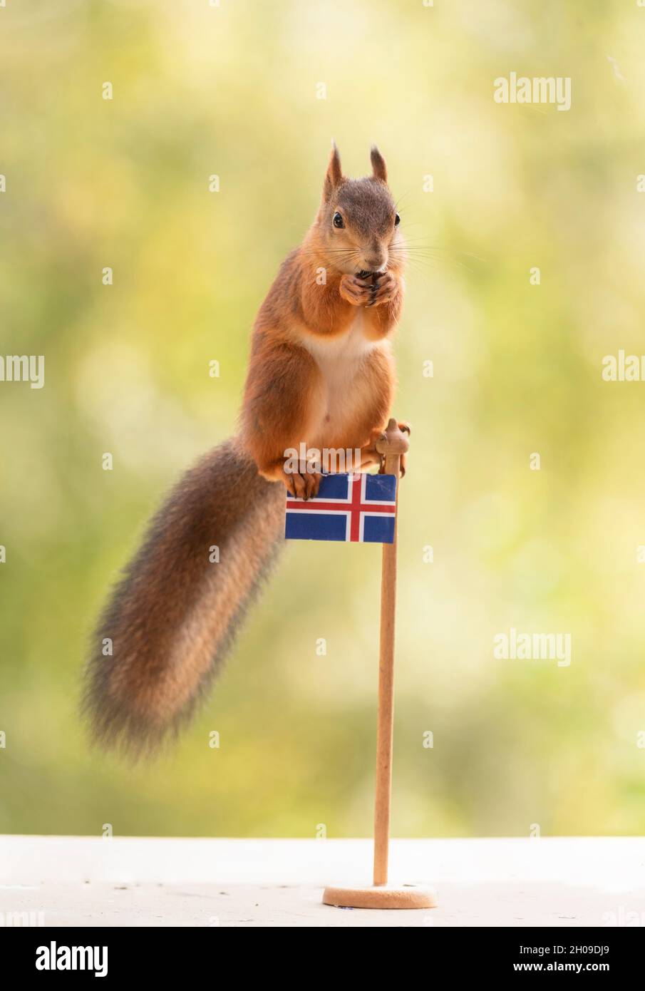 Iceland sweden flag hi-res stock photography and images - Alamy