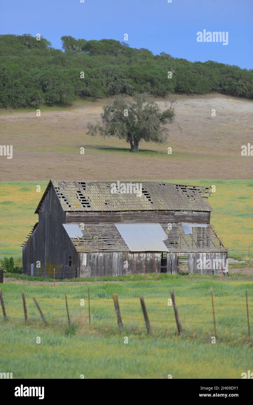 The historic Mission San Antonio de Padua founded in 1771, near Jolon ...