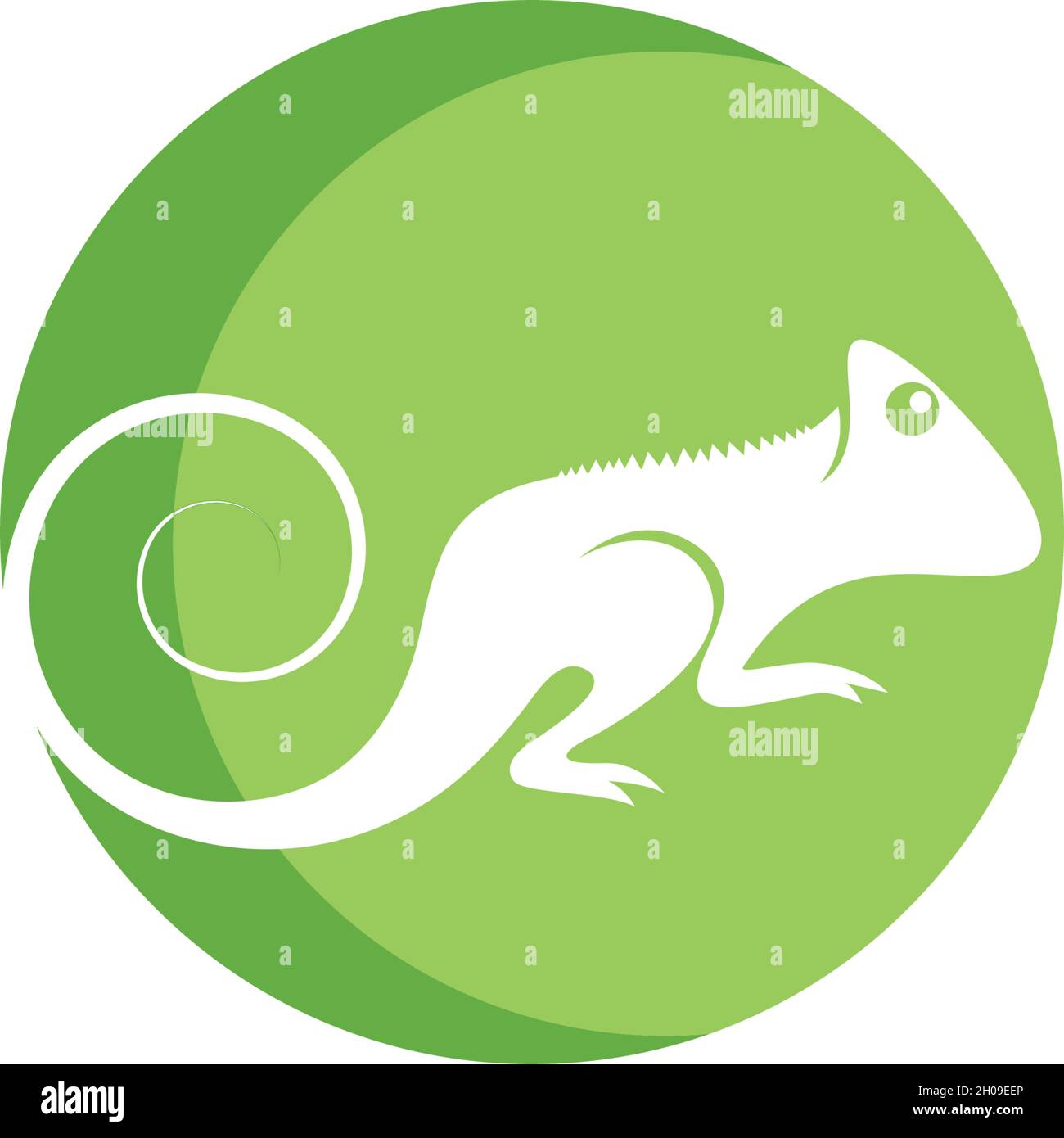 chameleon logo vector illustration template Stock Vector Image & Art ...