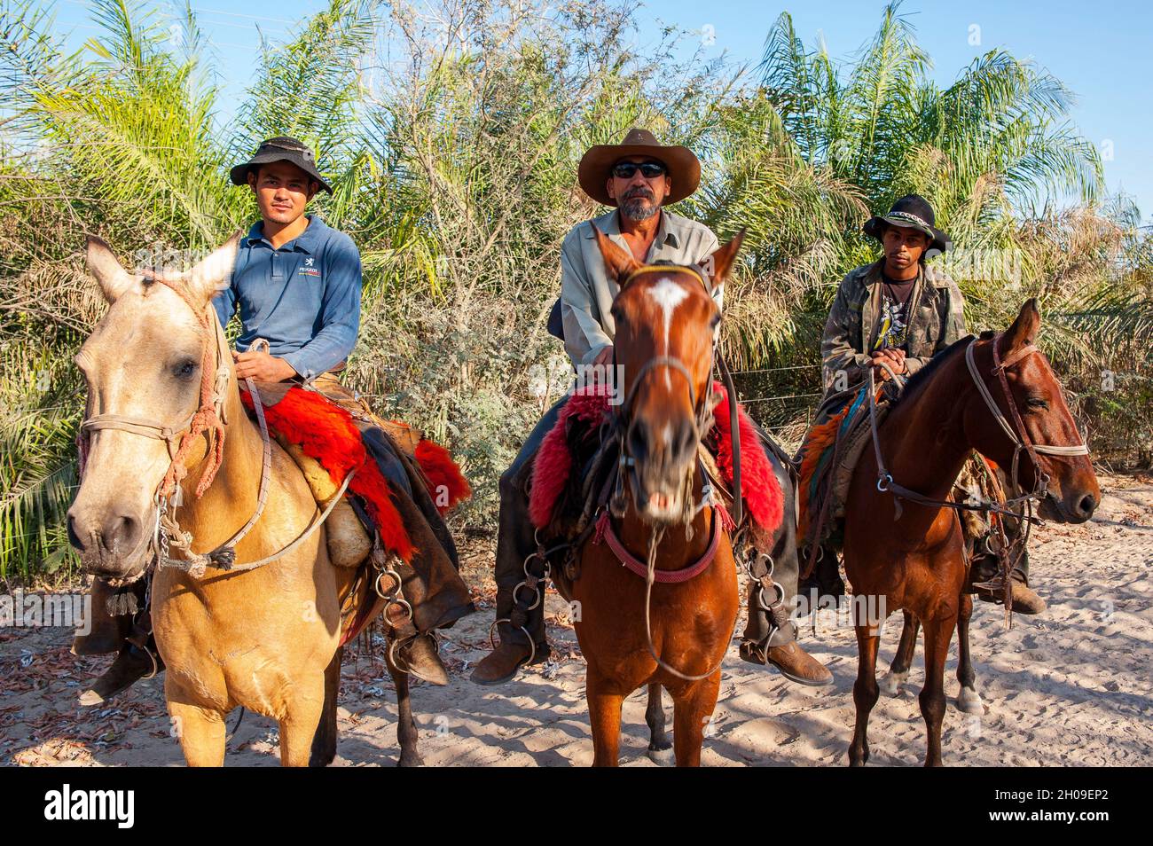Typical brazilian cowboy from the Pantanal on the Estrada Parque, Mato ...