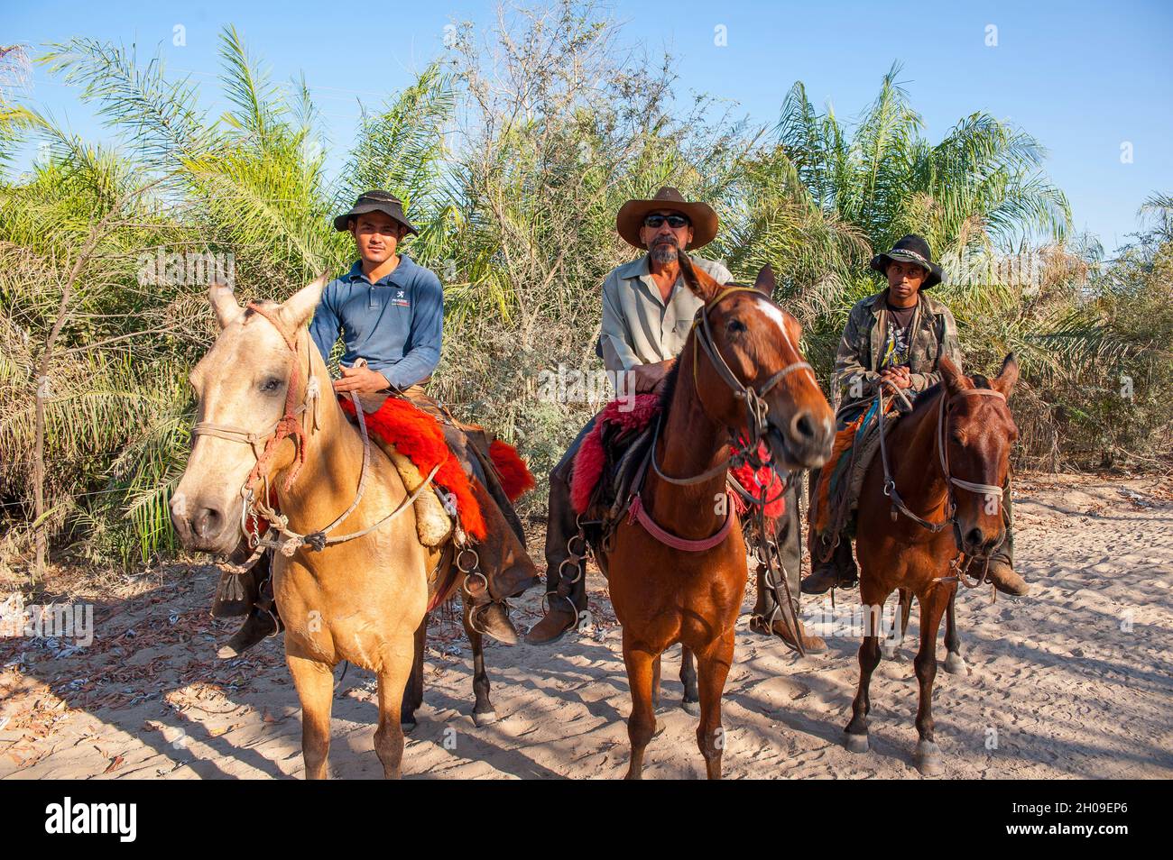 Typical brazilian cowboy from the Pantanal on the Estrada Parque, Mato ...