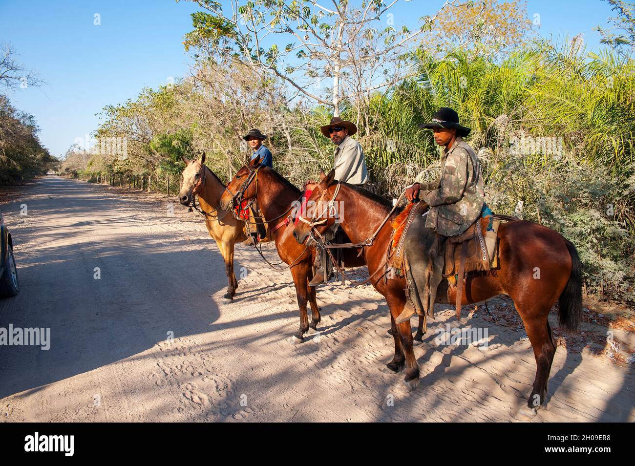Typical brazilian cowboy from the Pantanal on the Estrada Parque, Mato ...