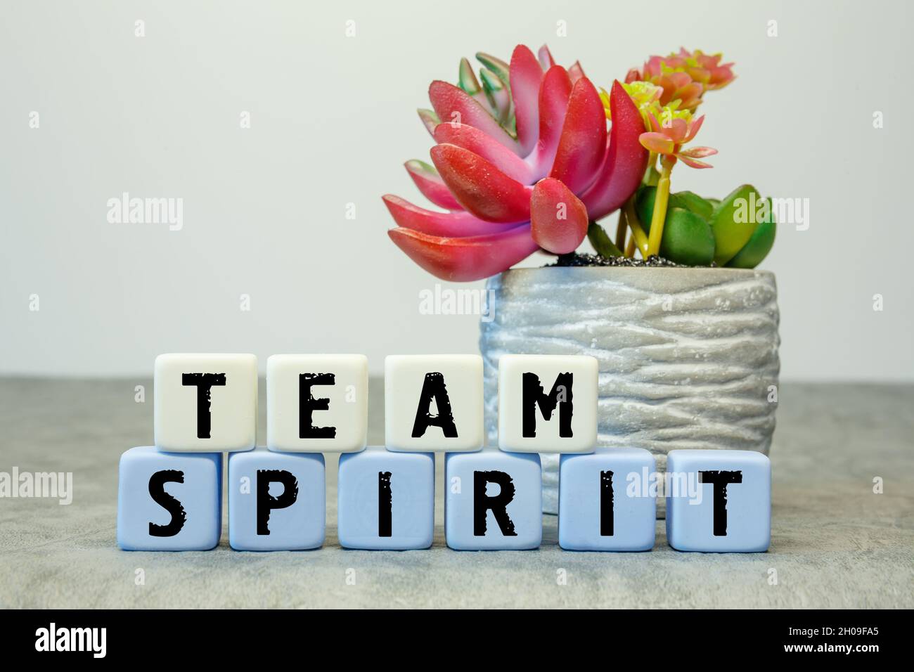 Soft cubes with the abbreviation TEAM SPIRIT with a flower on a white ...