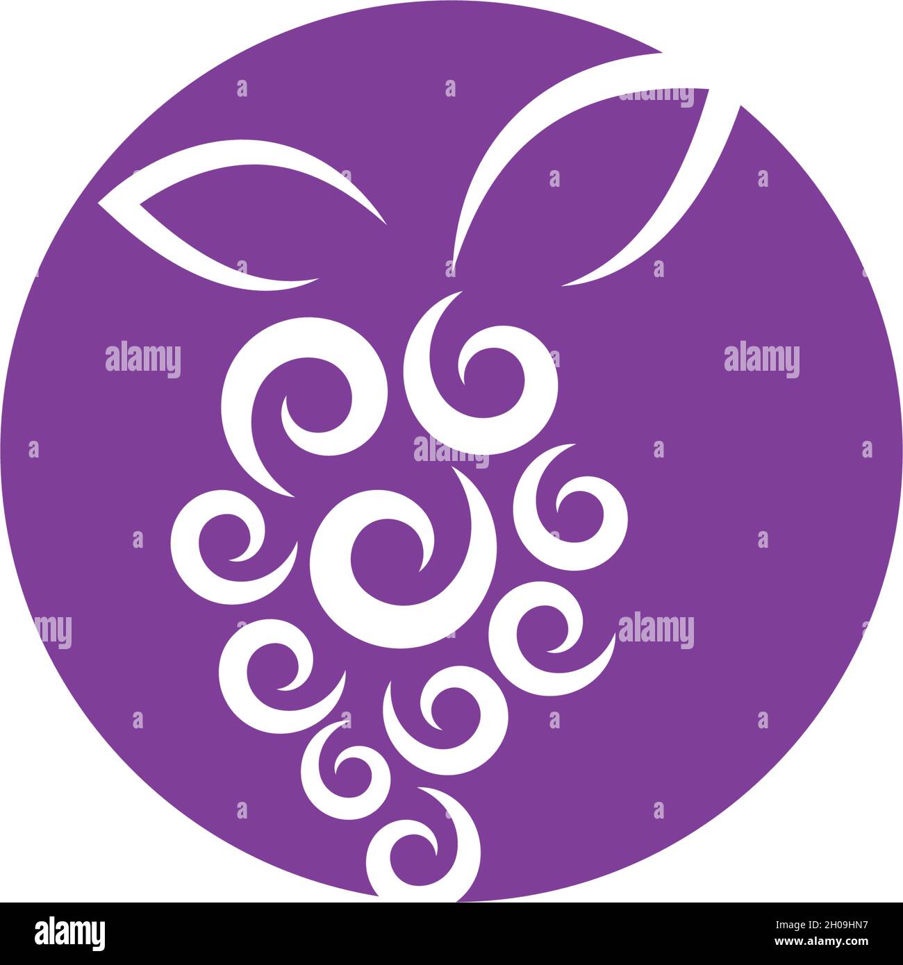 Vitis vector vectors hi-res stock photography and images - Alamy