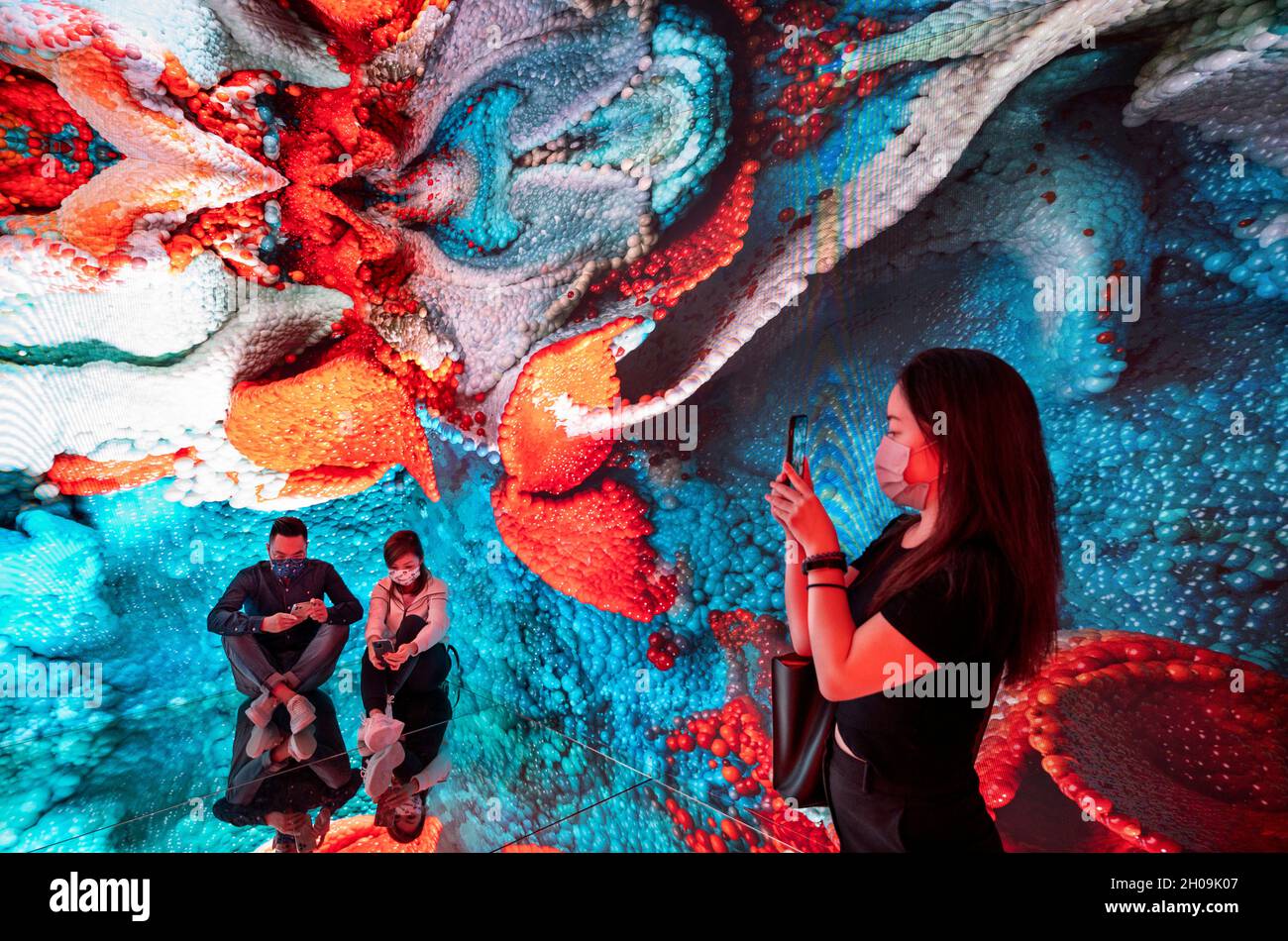 People visit and take photos of the immersive art installation titled ...