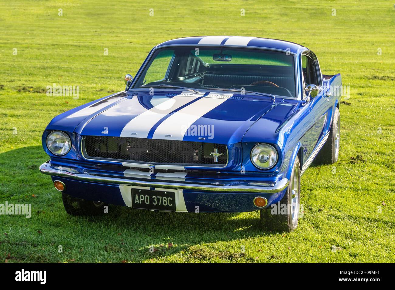 1965 60s blue 4736cc Ford Mustang at Southport Classic and Speed 2021 ...