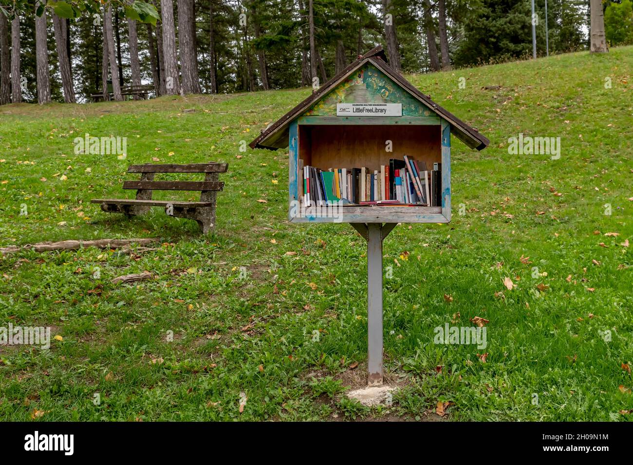 A small wooden public library, in a public park in Lizzano in Belvedere ...