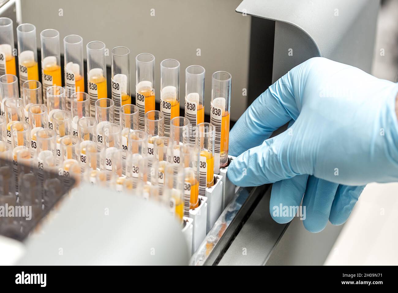Plastic holder test tubes hi-res stock photography and images - Alamy