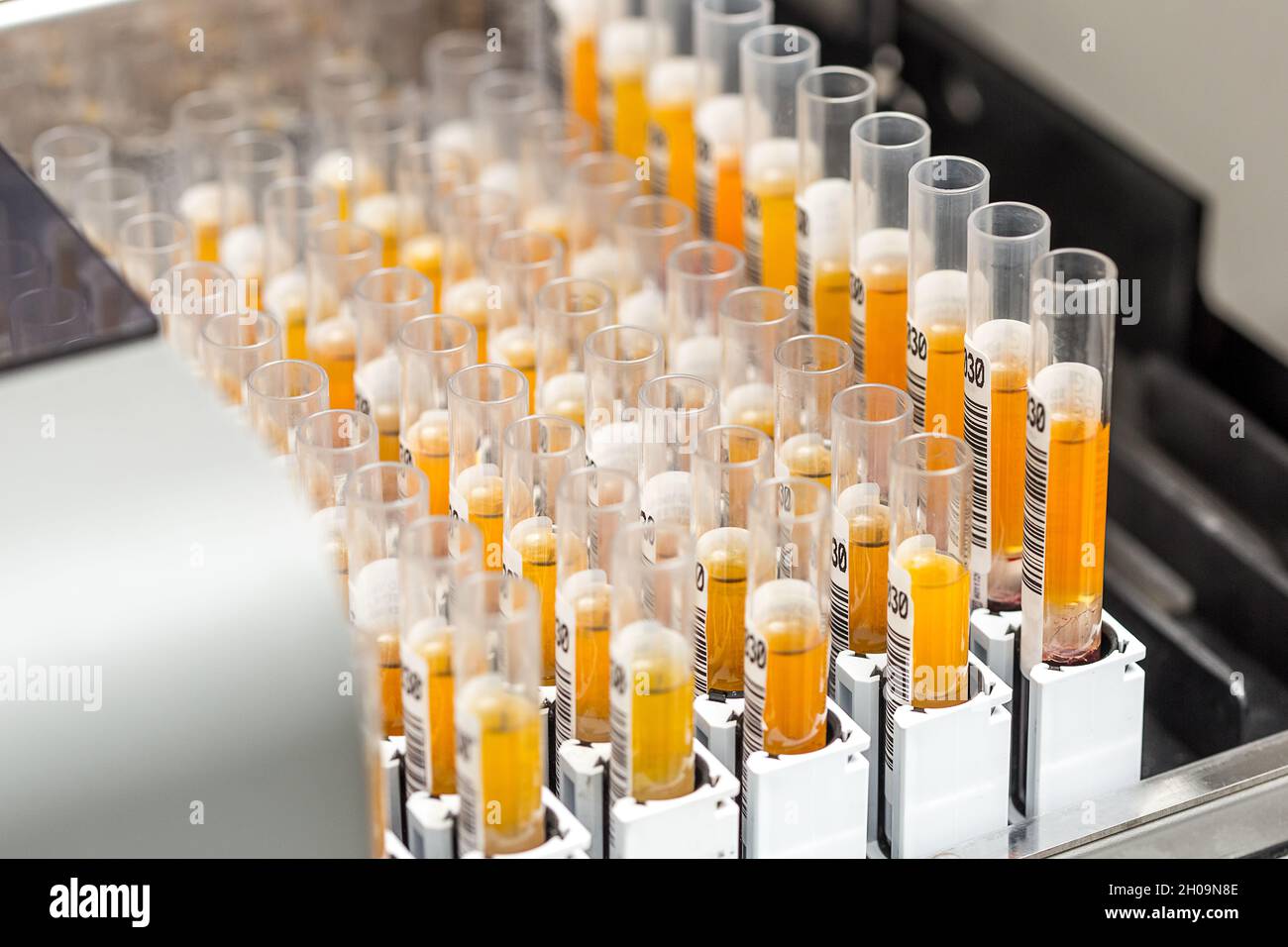 Plastic holder test tubes hi-res stock photography and images - Alamy