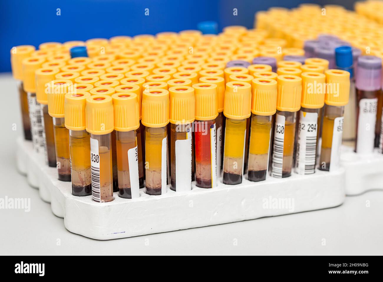 Plastic holder test tubes hi-res stock photography and images - Alamy