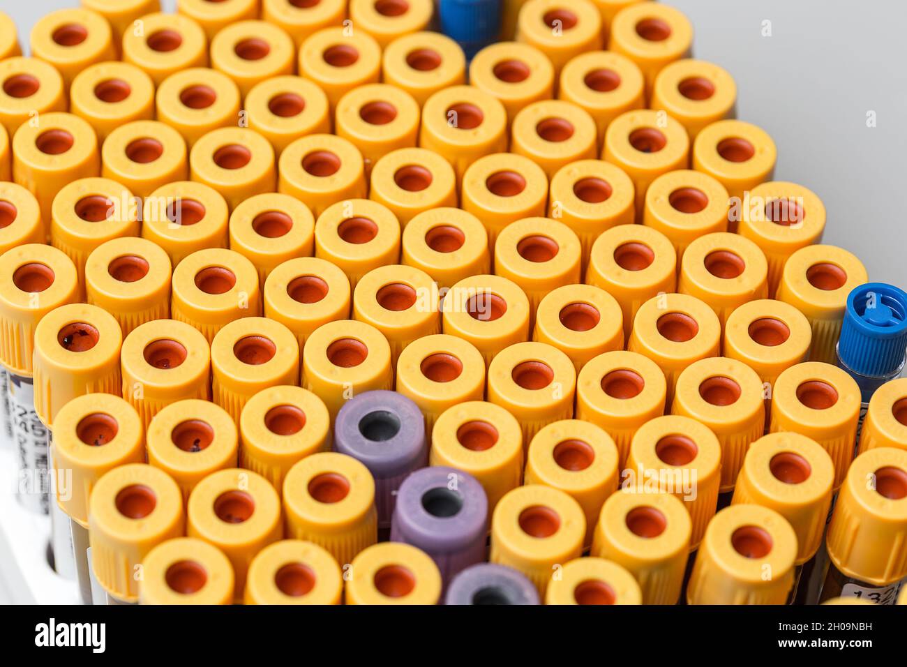 Plastic holder test tubes hi-res stock photography and images - Alamy