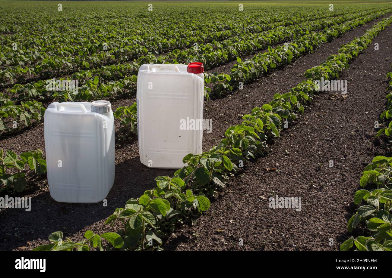 Two canisters of pesticides standing in soybean field in spring Stock ...