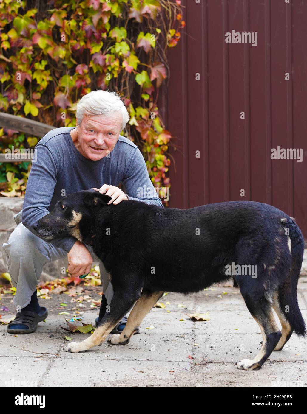 Dog Man Old Cuddle High Resolution Stock Photography and Images - Alamy