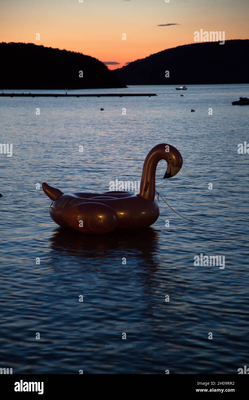 Inflatable swan hi-res stock photography and images - Alamy