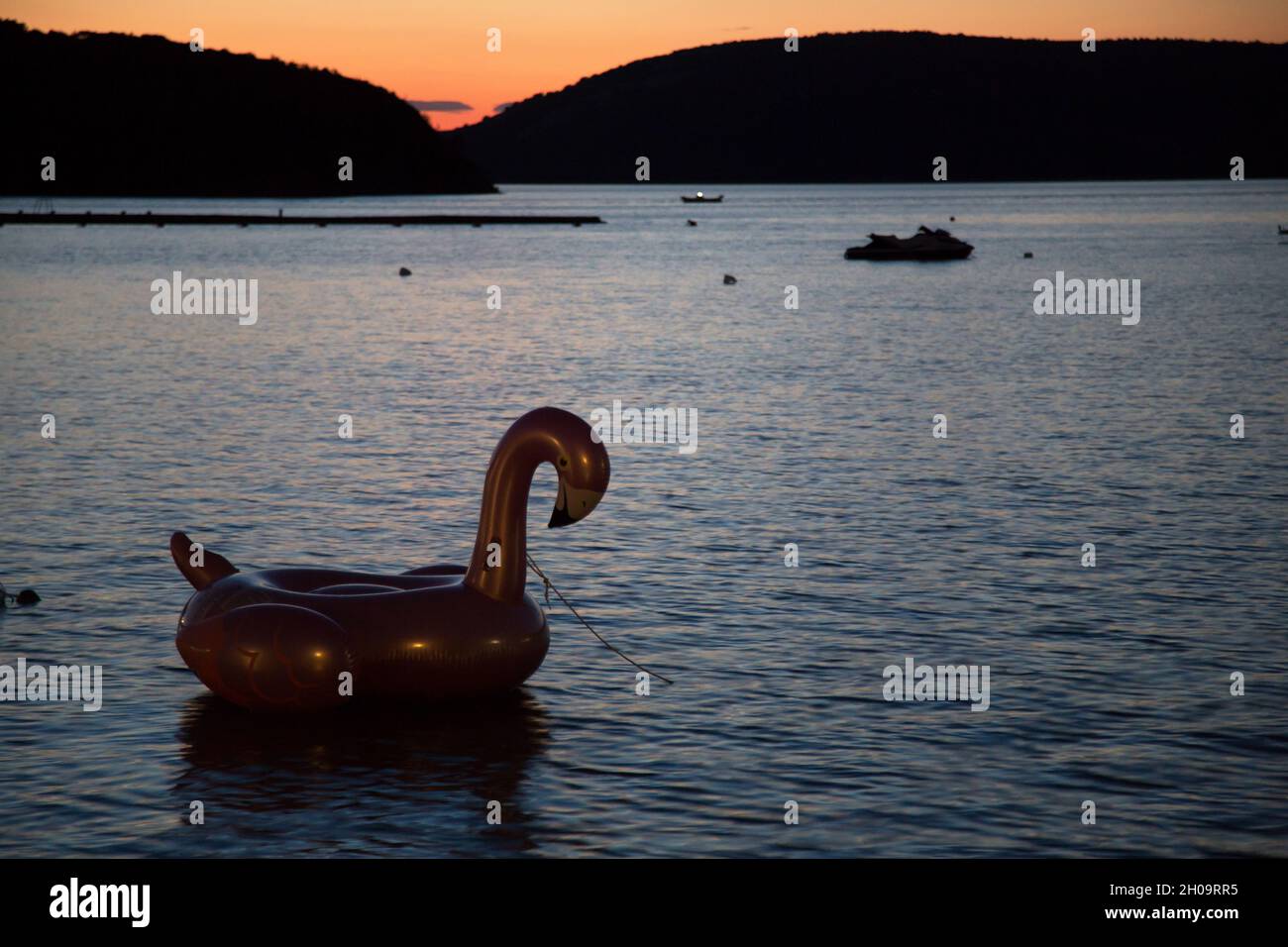 Inflatable swan hi-res stock photography and images - Alamy