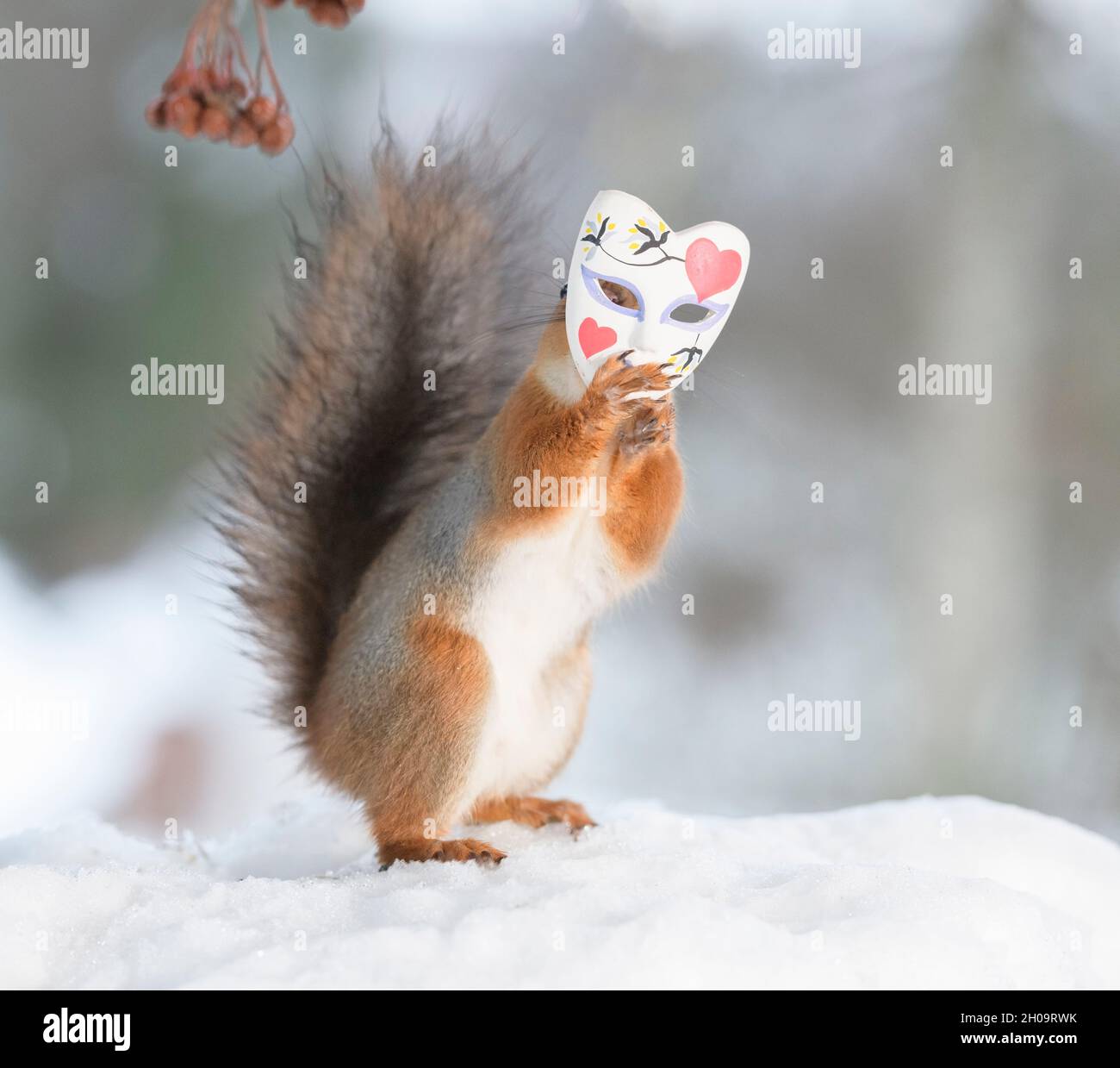 Red party mask no people hi-res stock photography and images - Alamy