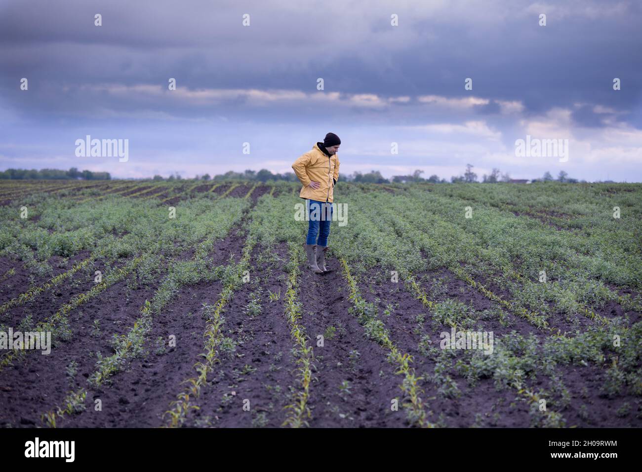 Weed farm worker hi-res stock photography and images - Alamy