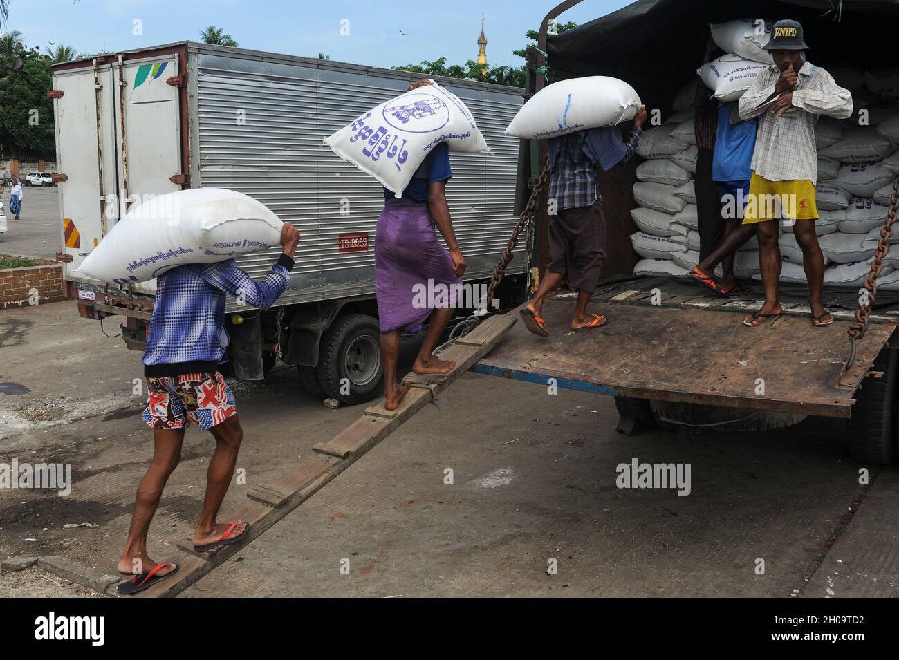 "11.11.2015, Myanmar, , Yangon - Workers load sacks filled with rice ...