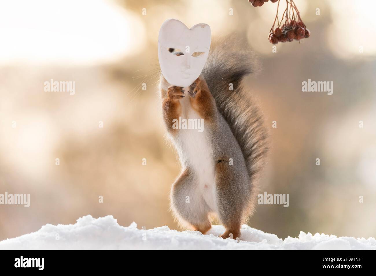 Red party mask no people hi-res stock photography and images - Alamy