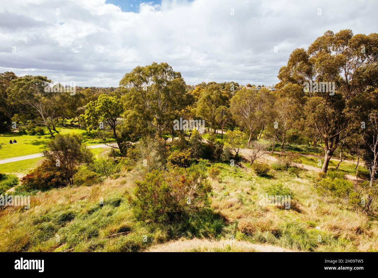 Darebin Parklands in Melbourne Australia Stock Photo - Alamy