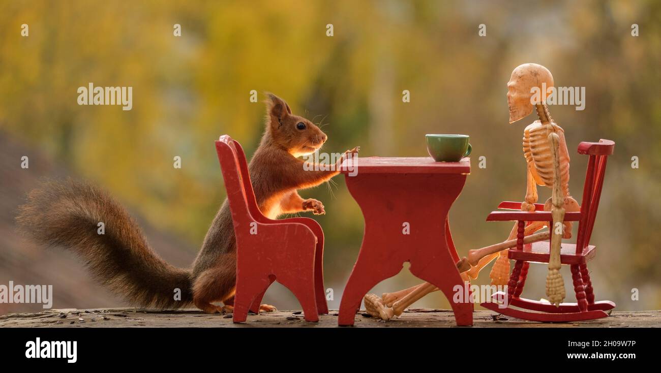 Skeleton chair hi-res stock photography and images - Alamy