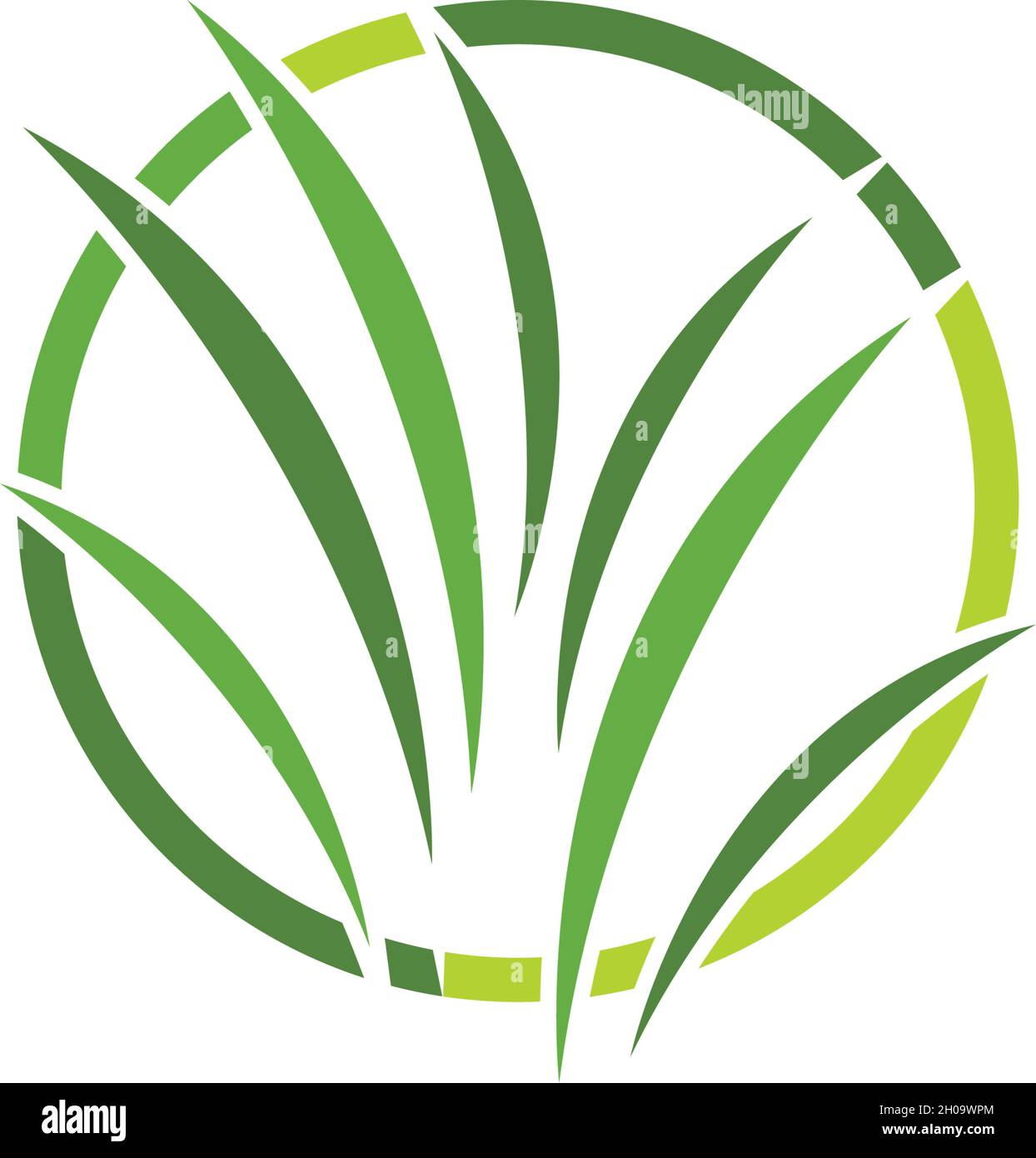 Grass ilustration logo vector design Stock Vector Image & Art - Alamy