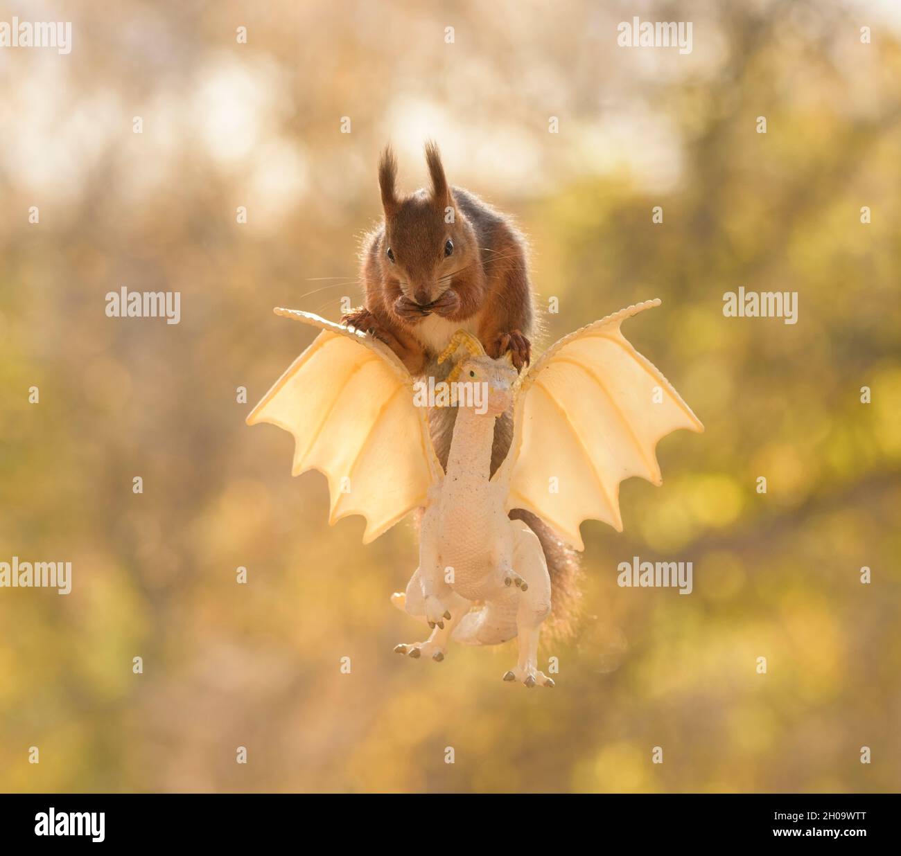 Sauron hi-res stock photography and images - Alamy