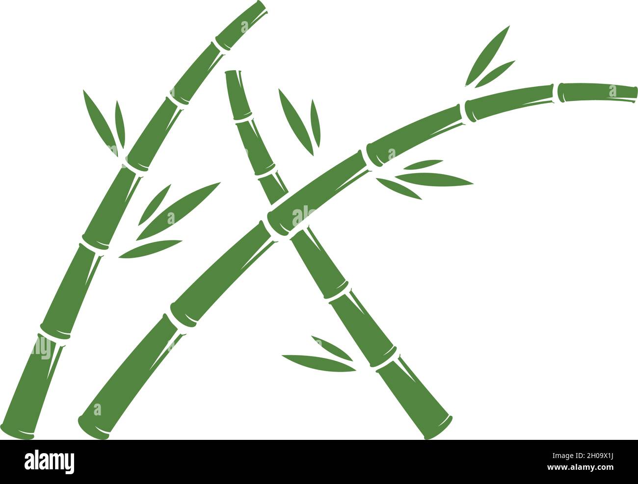 Bamboo logo A letter initial ilustration vector template Stock Vector ...