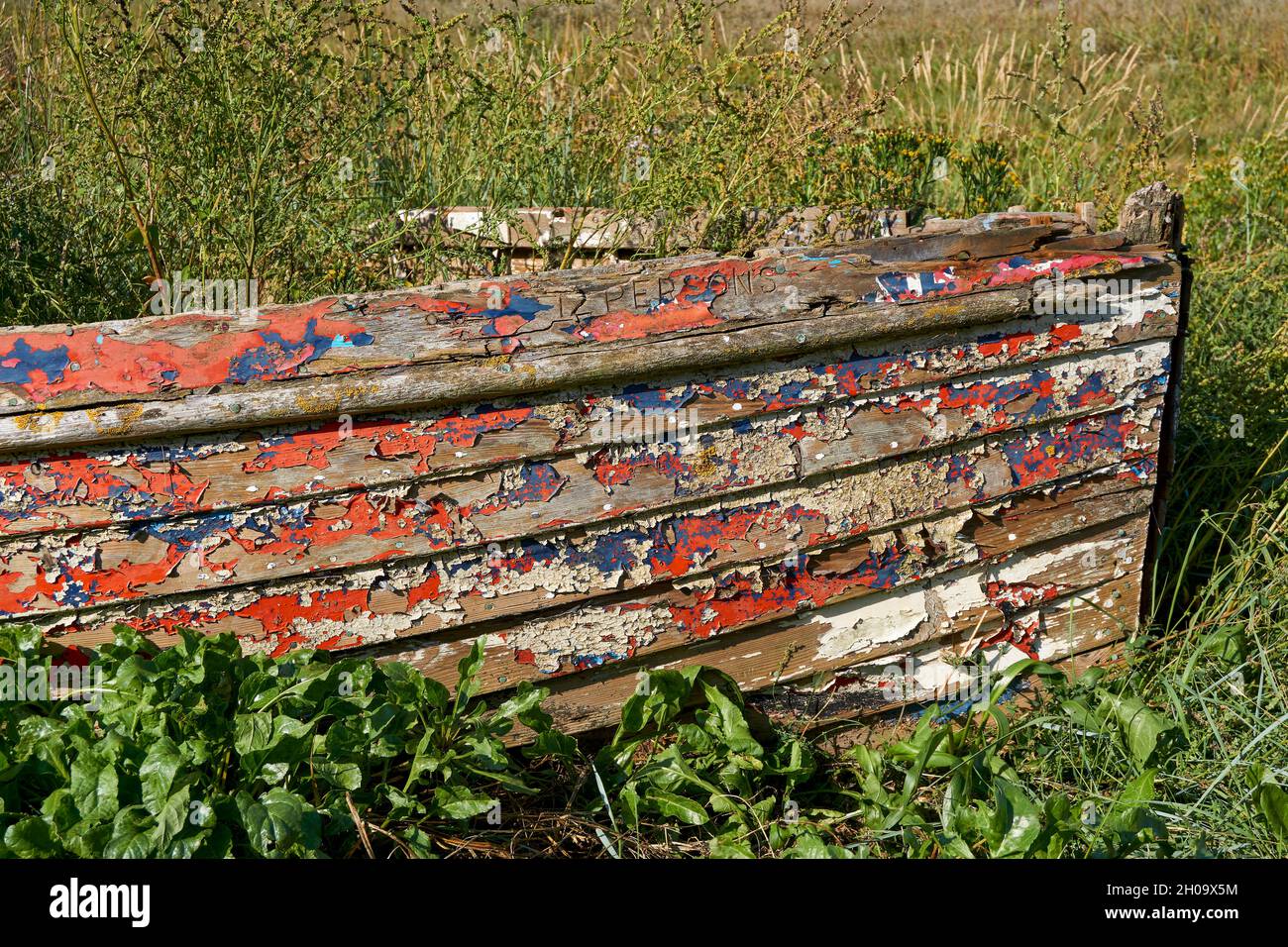 A decaying boat with peeling paint in the grass off the Norfolk coast ...