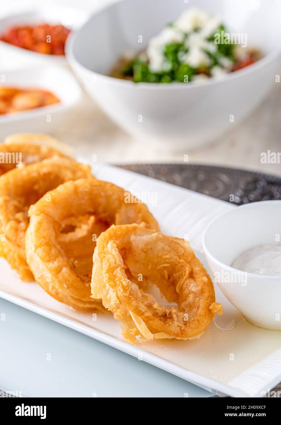 Delicious calamari on a white porcelain plate with salad and sauce ...