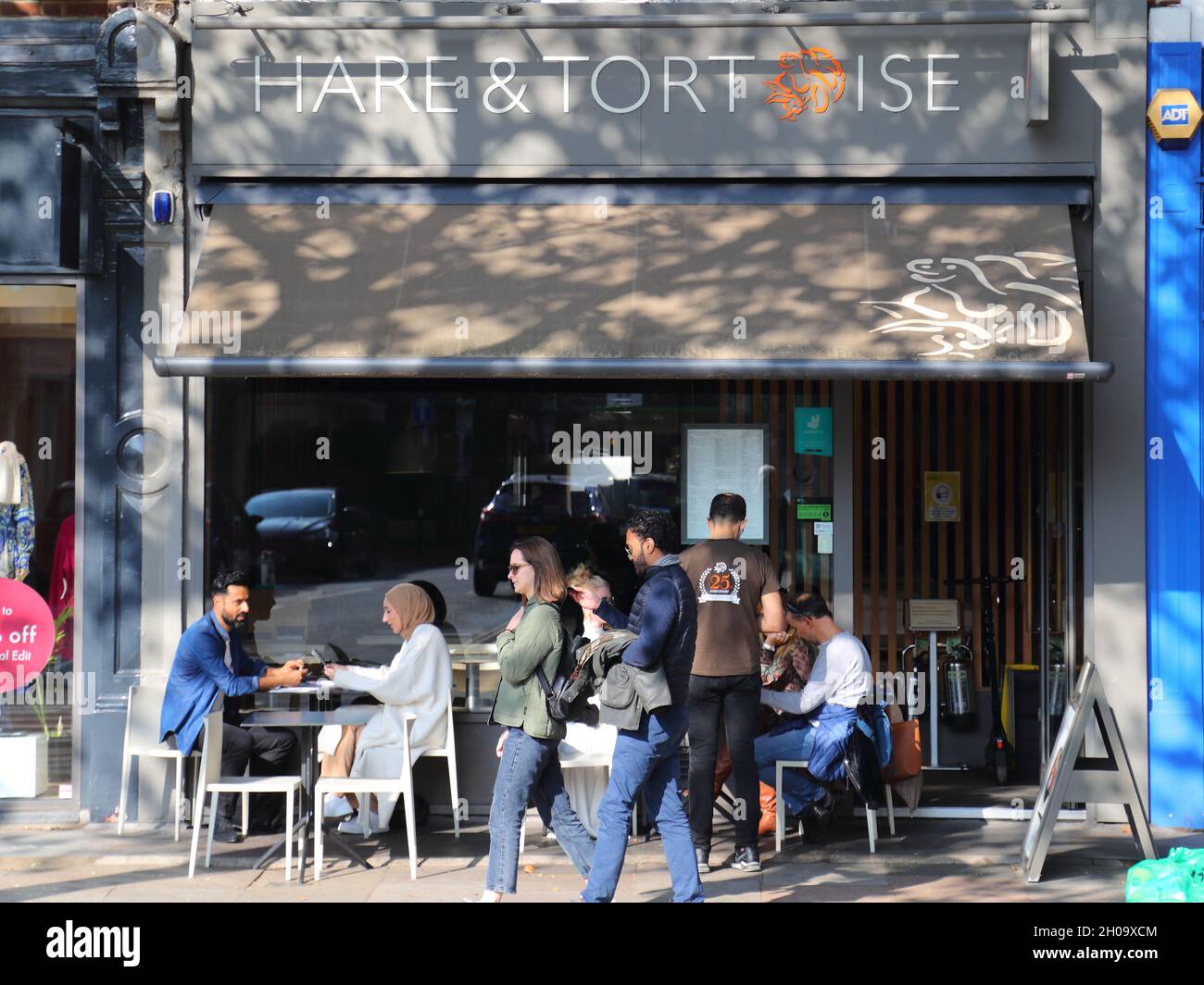 Tortoise and hare hi-res stock photography and images - Alamy