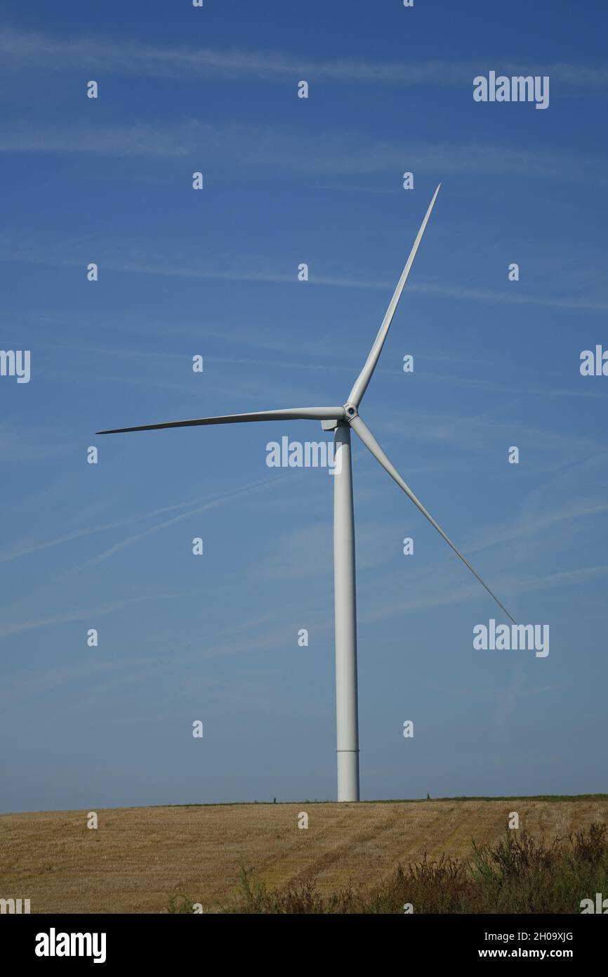 Flower electric field hi-res stock photography and images - Alamy