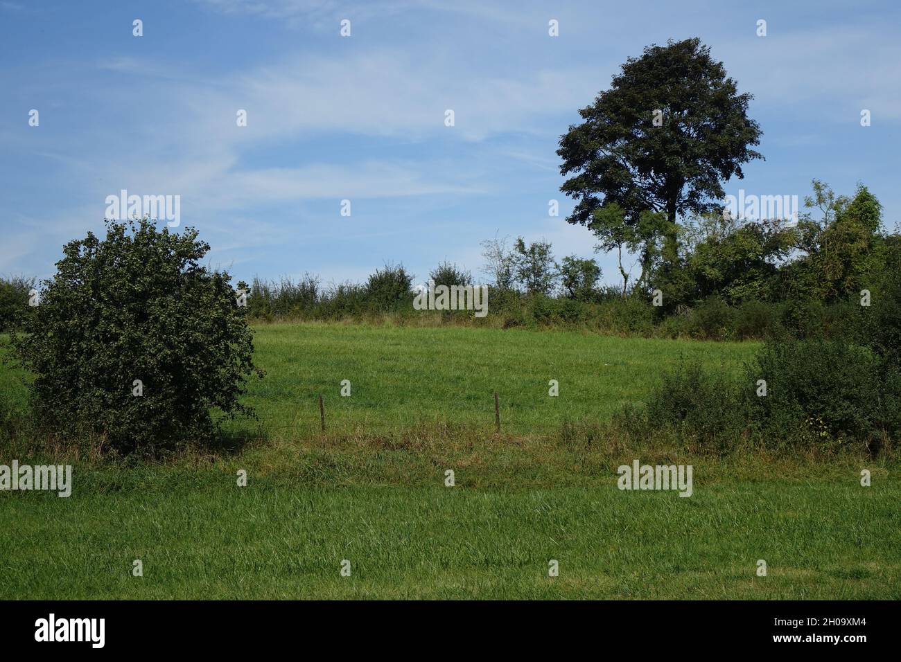 Typical Wallonian landscape in late summer, taken from the southernmost ...