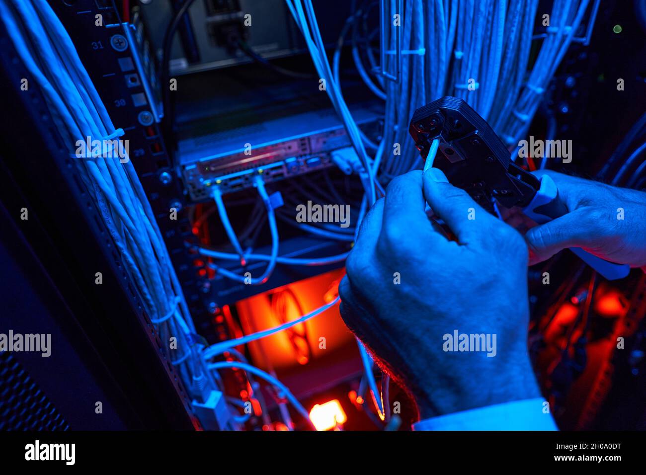 Server technician putting UTP cable into crimping pliers Stock Photo ...