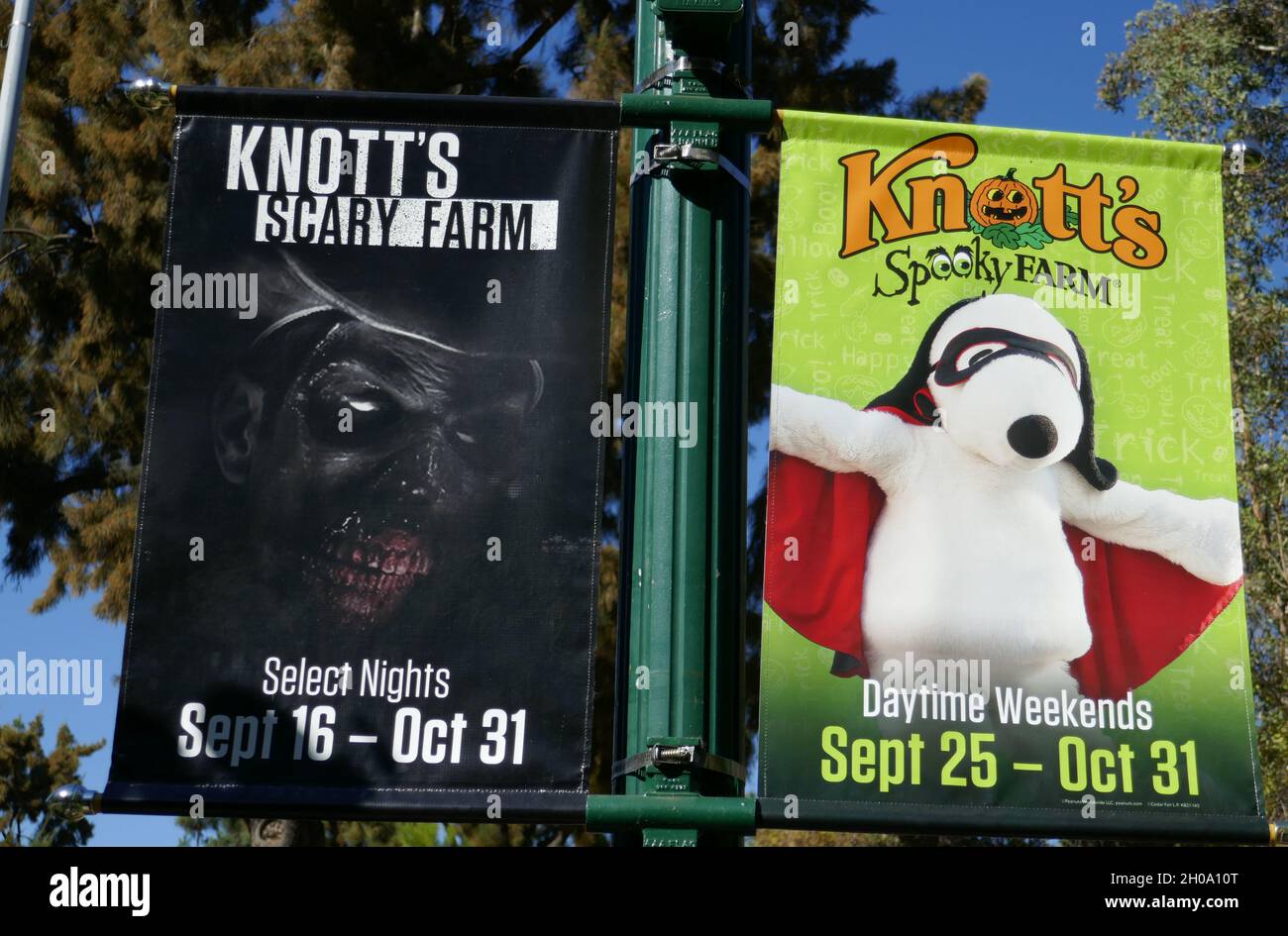 Buena Park, California, USA 10th October 2021 A Banner at Knott's Scary ...