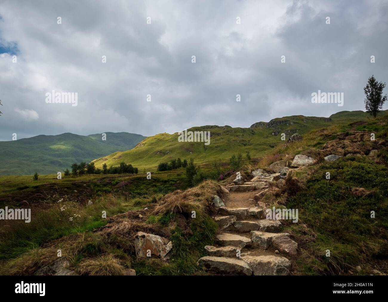 A prepared trail in the Ben Lawers National Nature Reserve Stock Photo ...