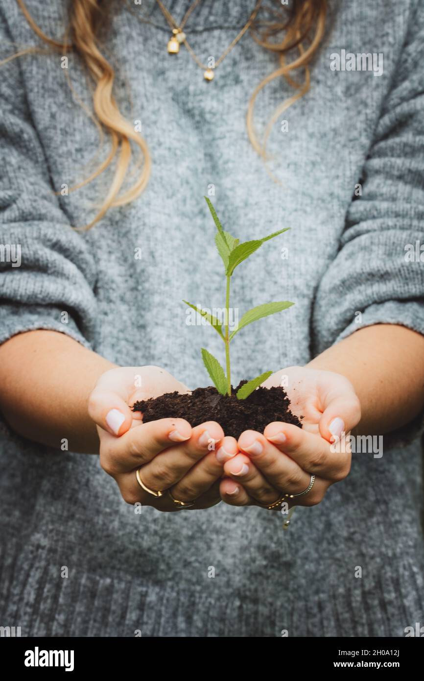 Female gardener holding a sapling with soil. teenager holding a green ...