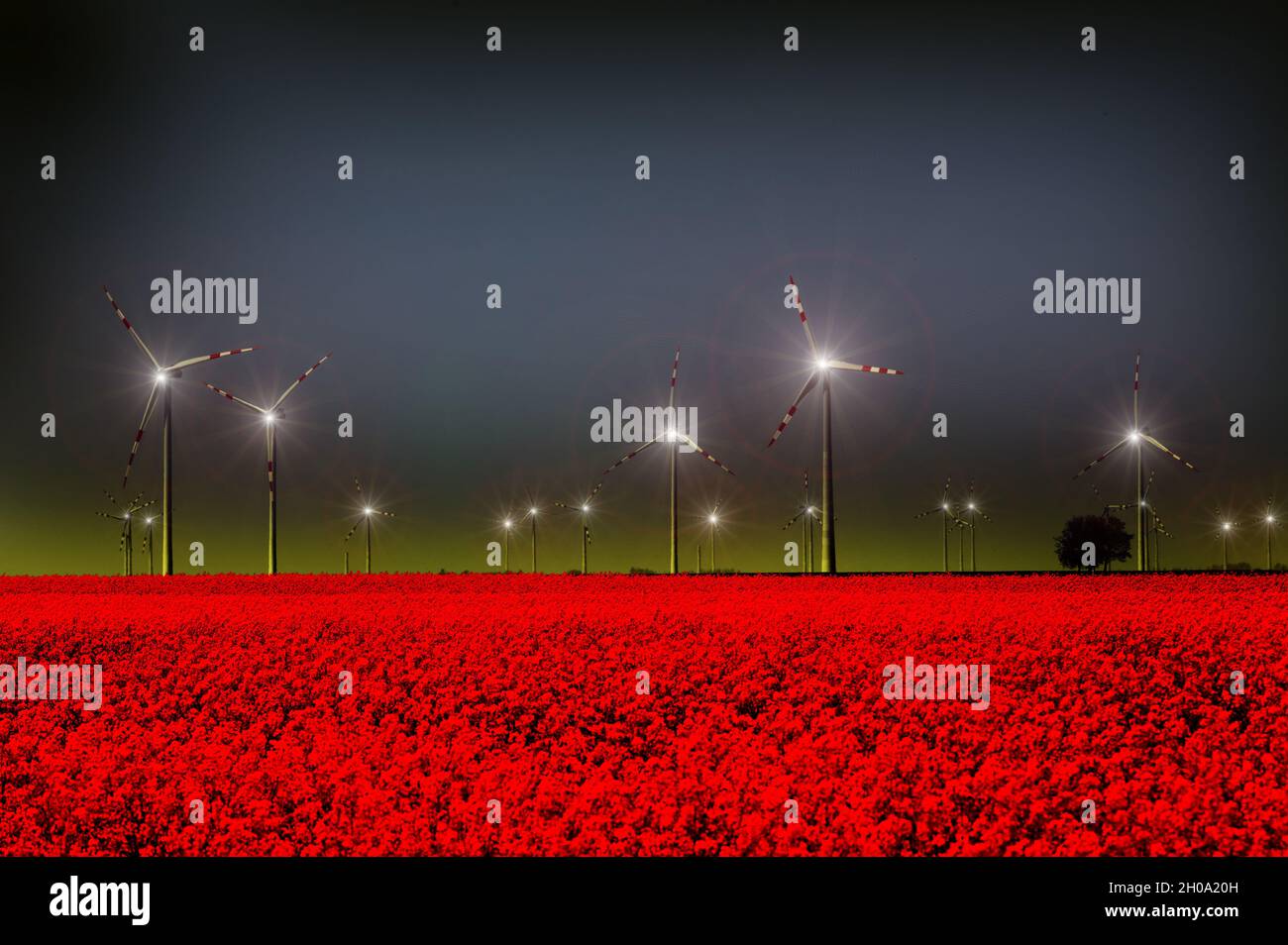 Wind turbine farm in red field by night. Renewable energy sources ...