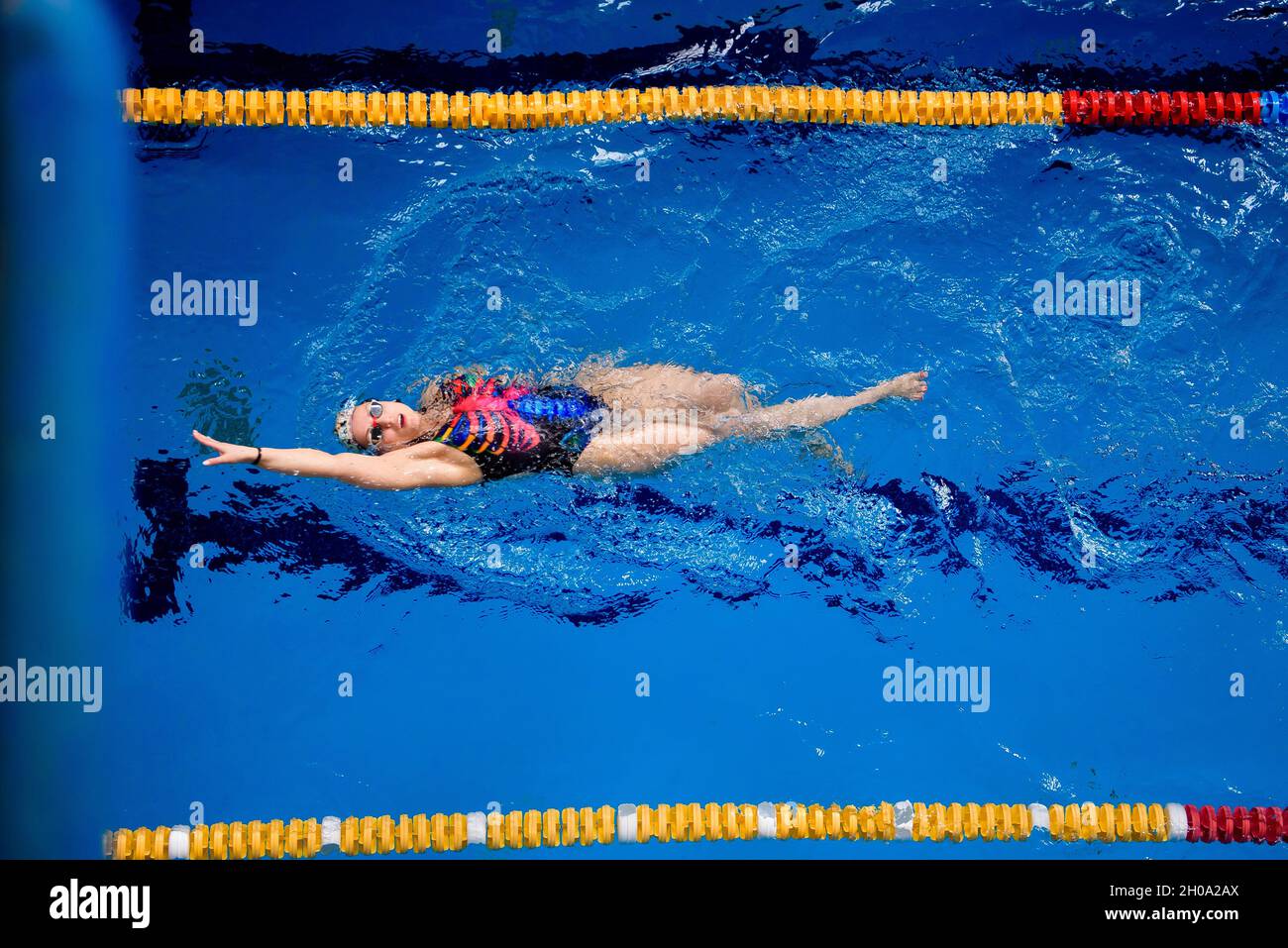 Female professional competitive swimmer in swimming pool Stock Photo ...