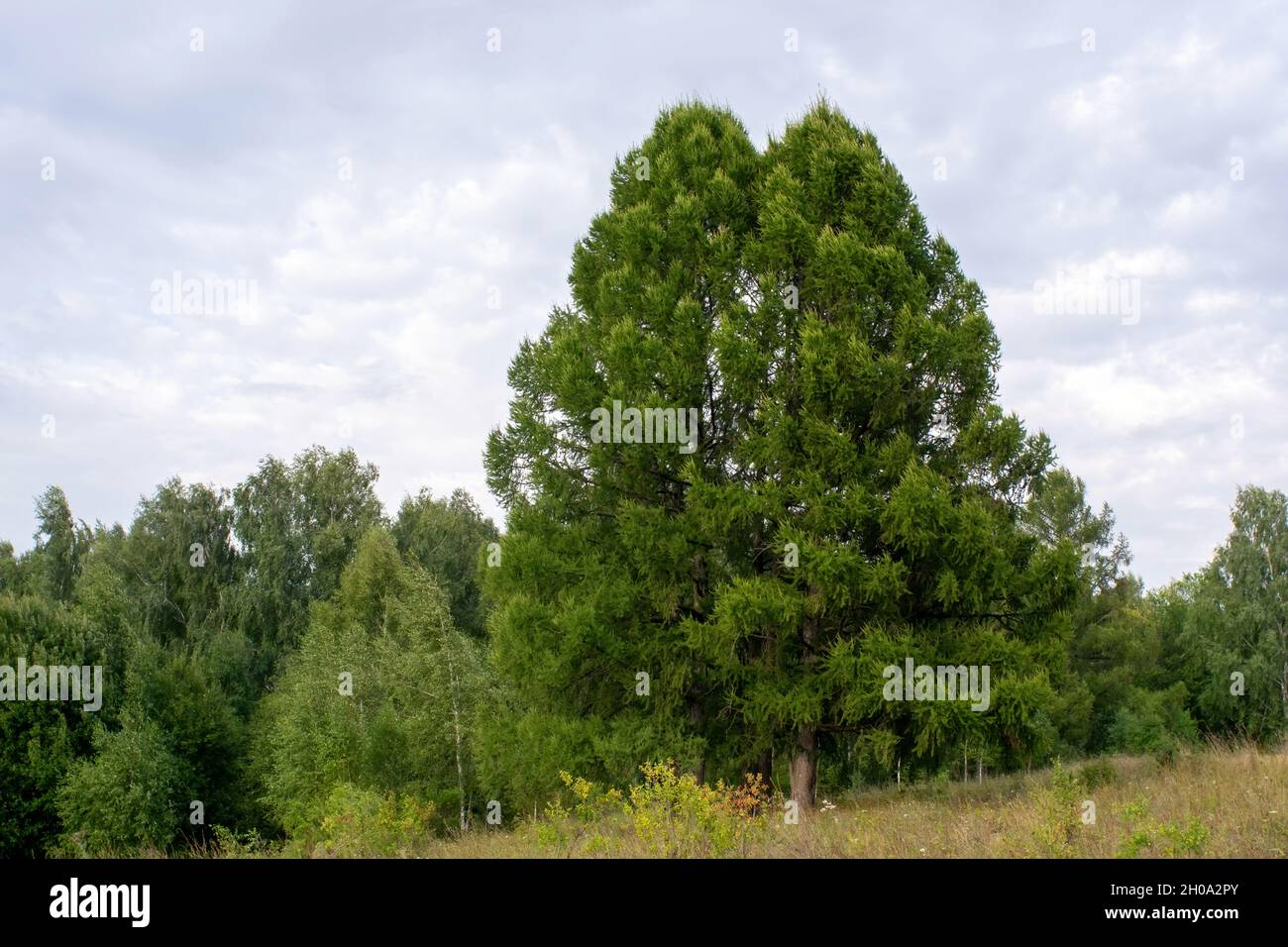 Freestanding mountain hi-res stock photography and images - Alamy