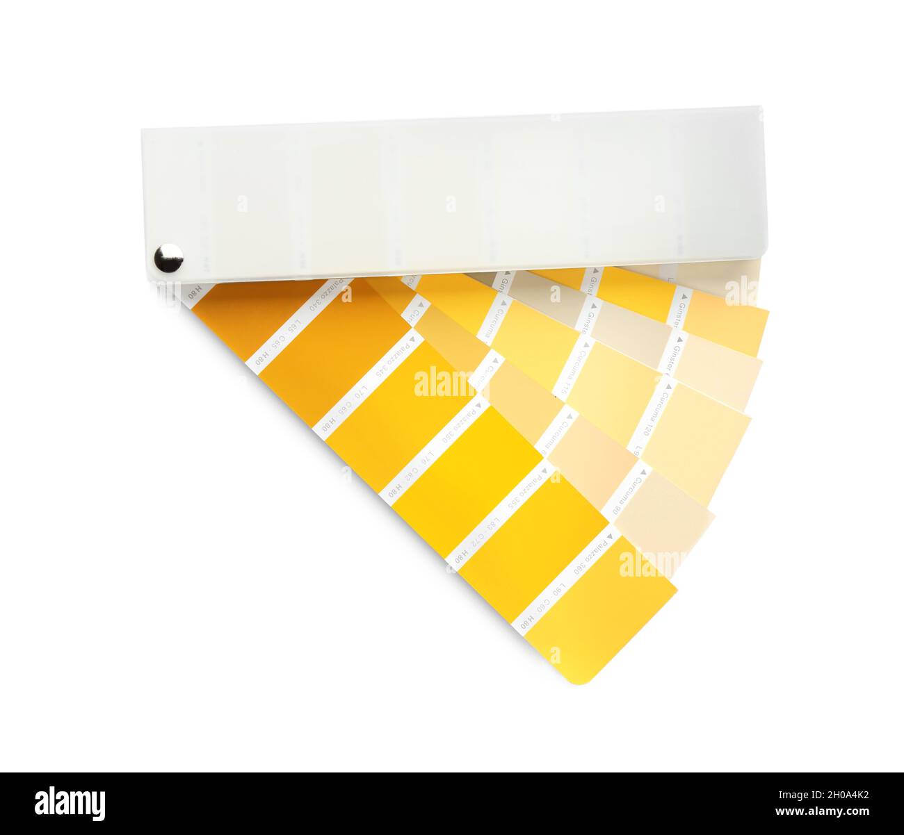 Color palette samples on white background Stock Photo - Alamy