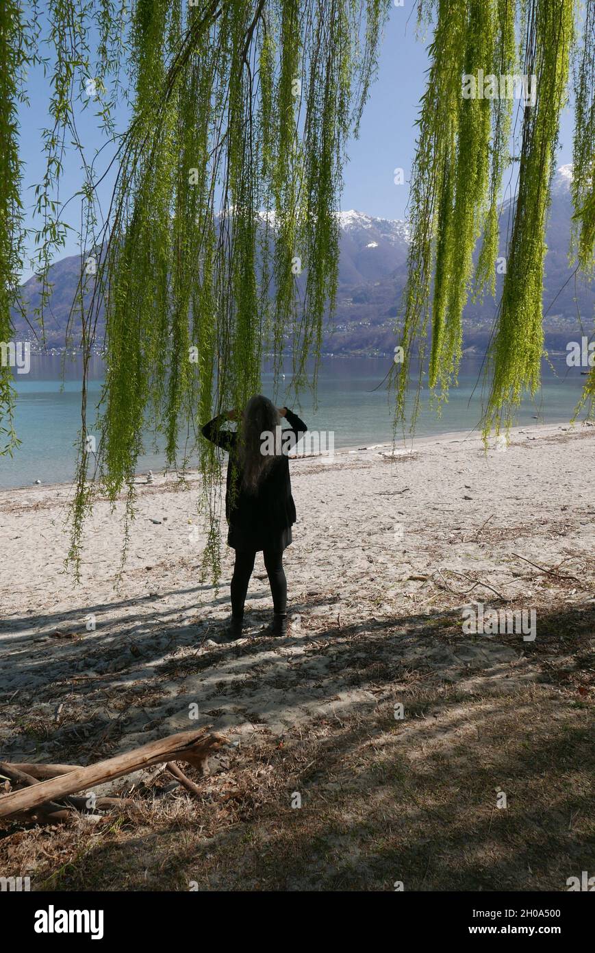 Flipped vertical shot of a lady with long gray hair standing under a ...