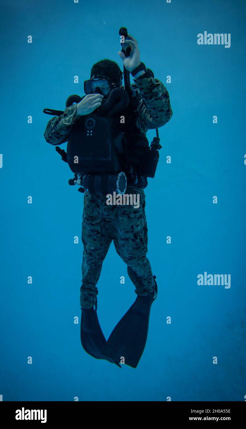 Udt Navy Seal Diver Poem
