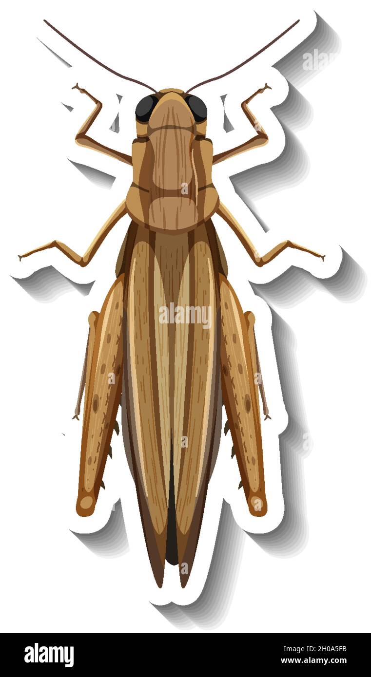 A sticker template with top view of a grasshopper isolated illustration ...