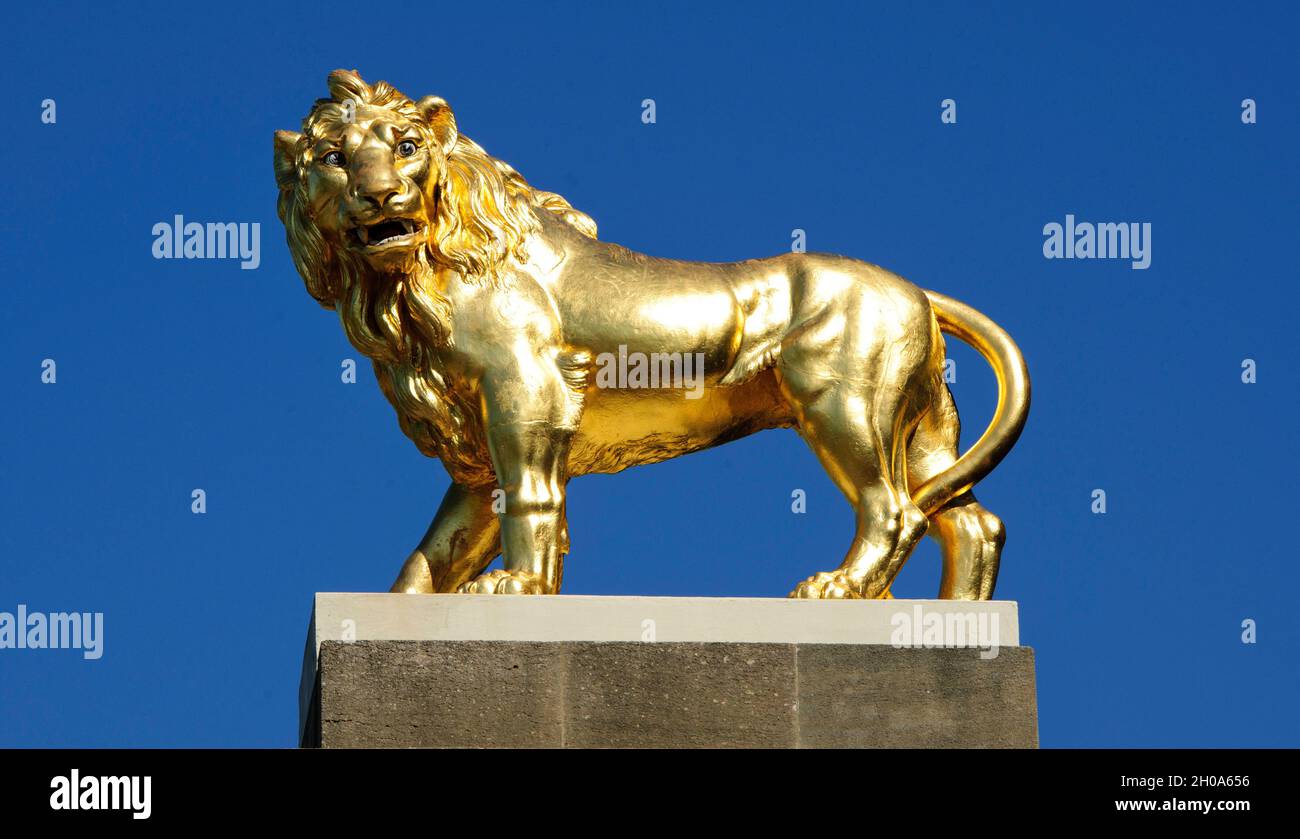 Golden Lion at Twickenham Rugby Stadium Stock Photo - Alamy