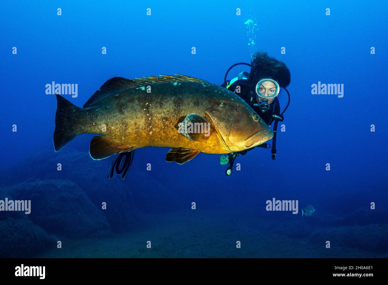 Revierbildend hi-res stock photography and images - Alamy